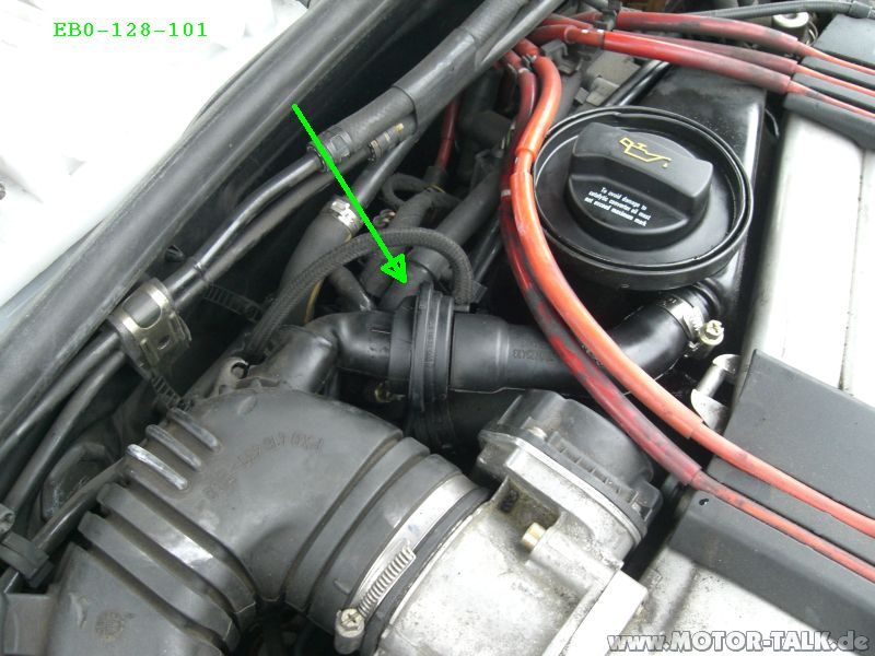 3b0128101 : Passat B5 (Typ 3B) Öl kommt aus Öleinfüllstutzen : VW ...