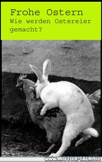 Ostereierproduktion Frohe Ostern Und Dicke Eier Vw Caddy